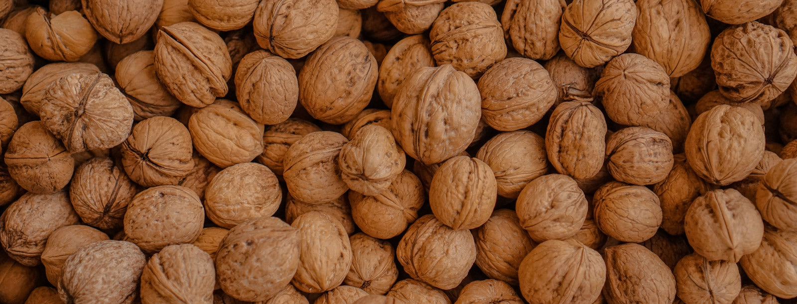 Health Benefits of Red Walnuts - Bertagna Nut Co.